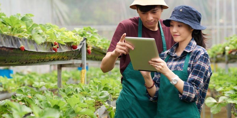 Kredit Pertanian: Pengertian, Manfaat & Tips Mengajukan - Skorlife